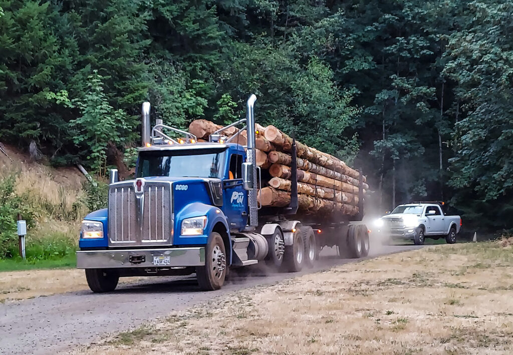 Home | Mountaindale Sun Resort ️